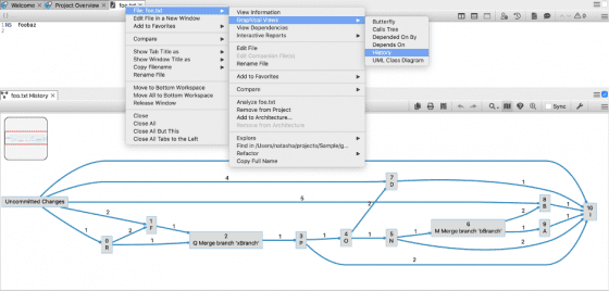Getting Git: Walking File History - SciTools Blog